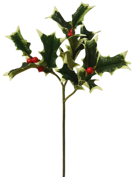 English Holly Stems, Variegated | Christmas Decorations ...