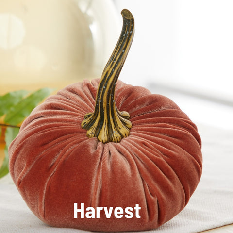 Velvet Pumpkins - TheHolidayBarn.com