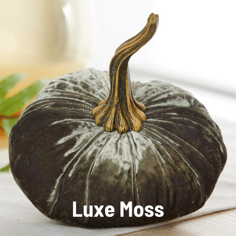 Velvet Pumpkins - TheHolidayBarn.com