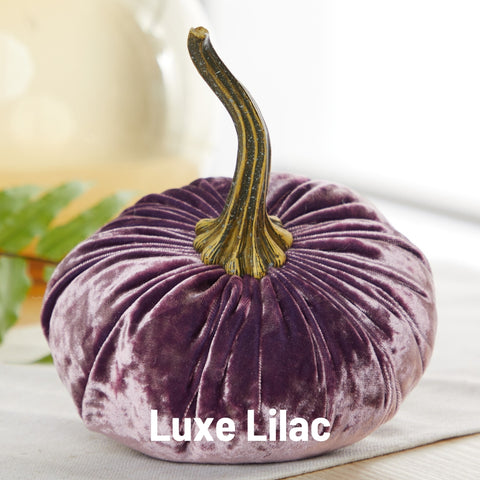 Velvet Pumpkins - TheHolidayBarn.com