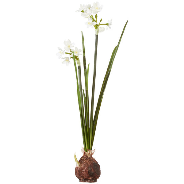 Paperwhite Bulb, Set of 3 | Realistic Faux Paperwhites - TheHolidayBarn.com